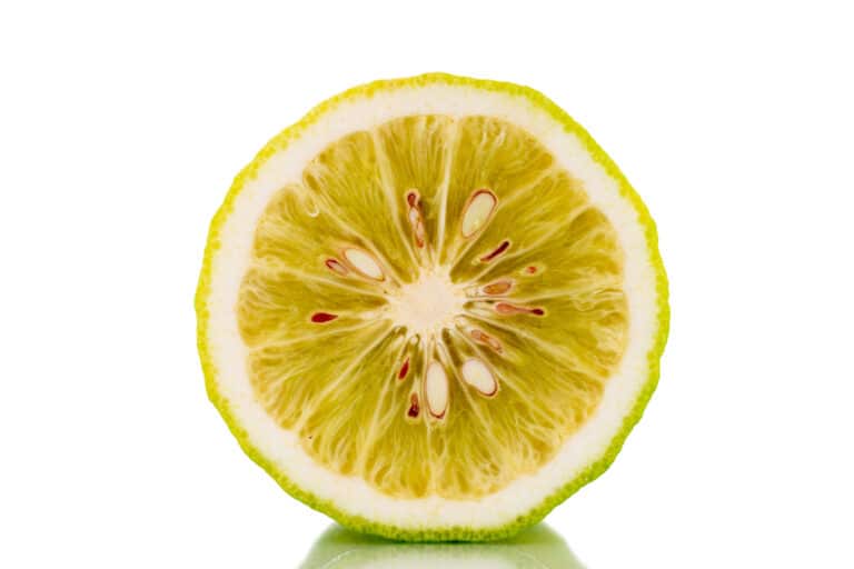 Bergamotto: Quali sono le sue proprietà curative?